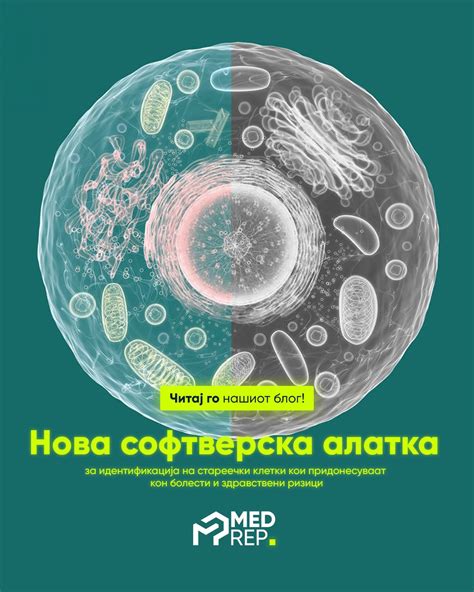 Medrep Mk • Instagram Photos And Videos