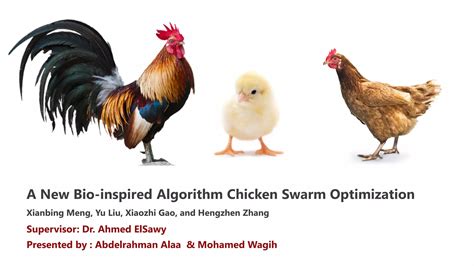 Chicken Swarm Optimization Cso Pdf