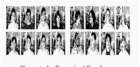 Figure 1 From A Hardware Software Co Design Approach For Face Recognition Semantic Scholar