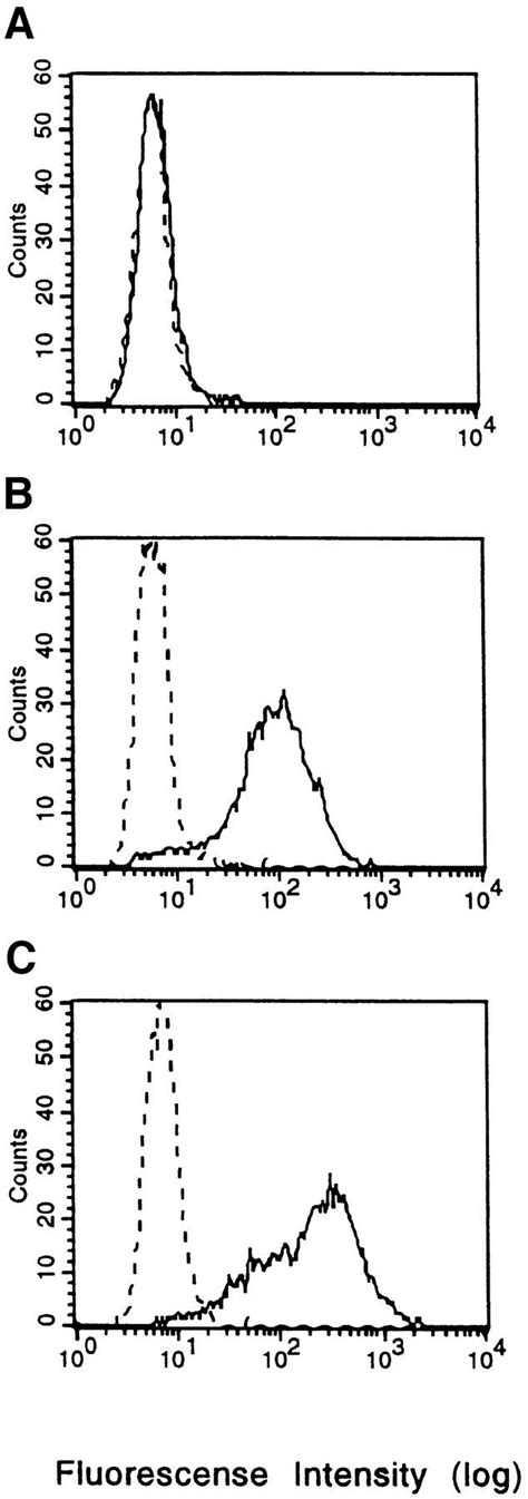 Flow Cytometric Analysis Of Expression Of Membrane Bound Fusion Protein