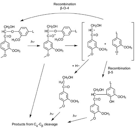 Reactions Of The Phenacyl Aryl Ether Units Download Scientific Diagram