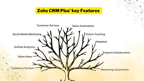 Enhancing Customer Relationships Exploring Zoho Crm Plus It Solutions Solved