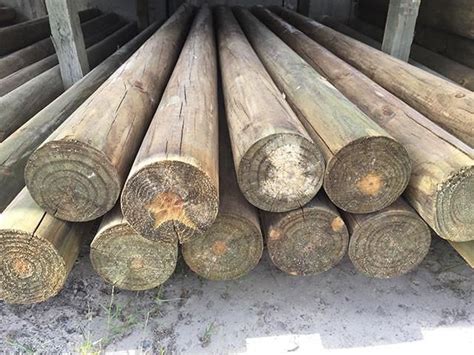 CCA Treated Pine Logs Brisbane