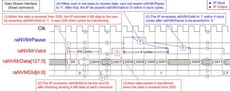 Dg Ranvme Ip Data Sheet Xilinx