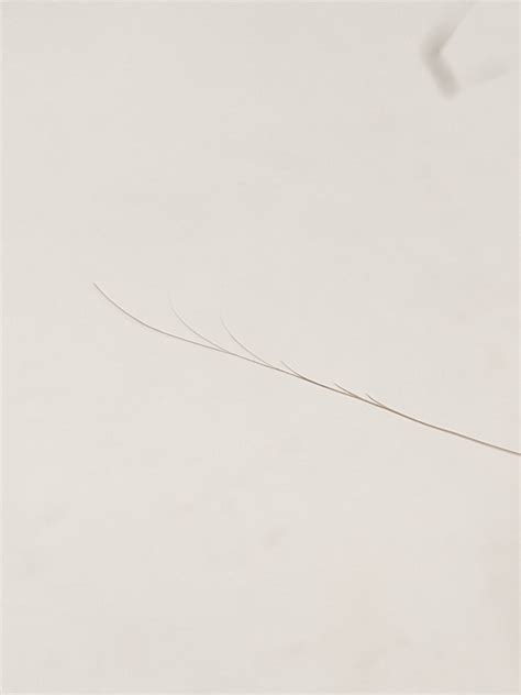 Love These Rsplitends