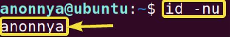 The Id Command In Linux 7 Practical Examples LinuxSimply