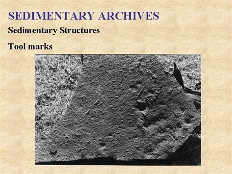 Sedimentary Archives Sedimentary Structures Sole Marks Sedimentary Archives