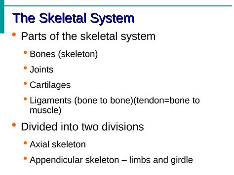 Solution Skeletal System Bone Classification Structure Powerpoint