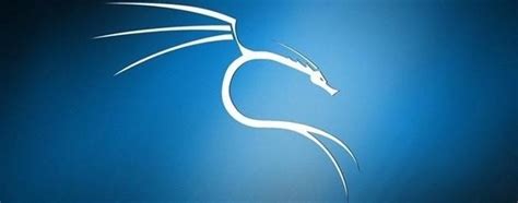 Kali Linux 20 Live Usb Not Booting Strange Problem Null Byte Wonderhowto