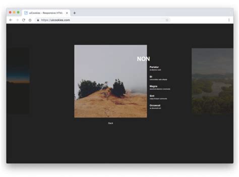 Bootstrap Accordion Examples To Gracefully Handle Huge Contents