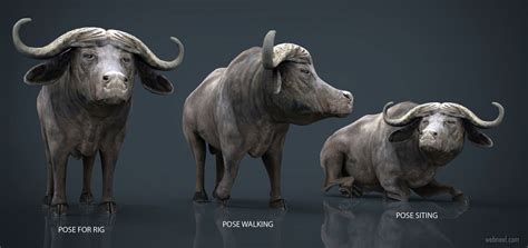 20 Realistic 3d Animal Models And Character Designs