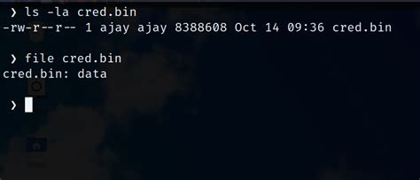 Payatu Hiring Ctf Creds Writeup Hacklido