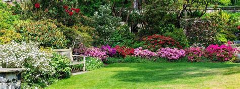 Everything You Should Know About Soft Landscaping
