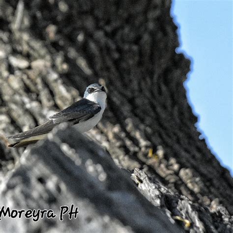 Analia Moreyra Fotografía Analiamoreyrafotografia • Instagram