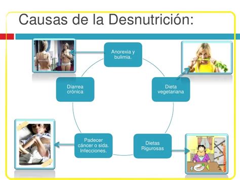 Causas Y Consecuencias De La Desnutricion ~ La Nutricion
