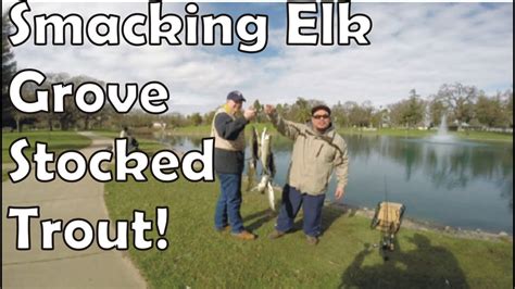 Smacking Trout At The Local Elk Grove Pond Youtube