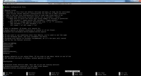 How To Install A Mumble Voice Chat Server On Ubuntu 1404