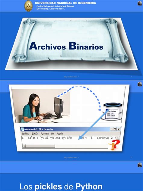 arch binario python pdf archivo de computadora python lenguaje de programación