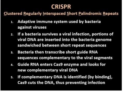 Biology Exam 4 Flashcards Quizlet