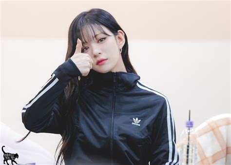 요리 레시피 연예인잡담 에펨코리아