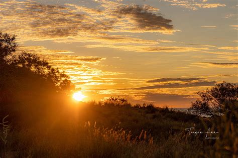 Click Love Grow Grads Artist Spotlight On Teagan Mcfarlane Click