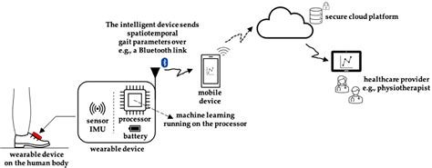 Figure 1 From Gait Stride Length Estimation Using Embedded Machine Learning Semantic Scholar
