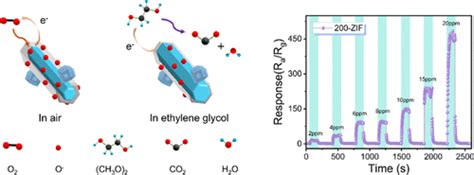 High Response Of Zif 8 Derived Zno Nanorods To Low Concentration Ethylene Glycol Acs Applied