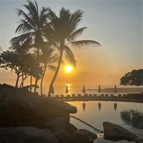 Drew Barton Drewbarton • Instagram Photos And Videos