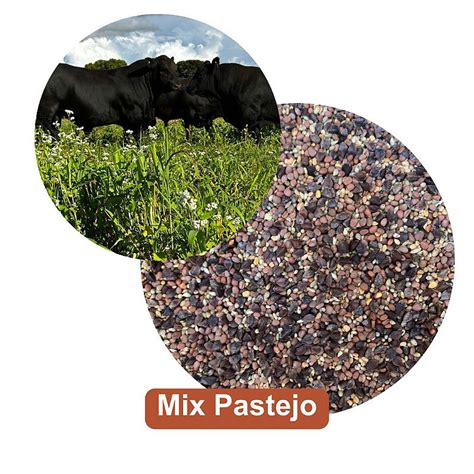 Mix Pastejo Gado E Equinhos Crotalaria Brasil