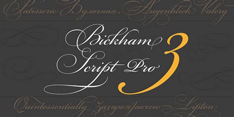 Bickham Script® Pro 3 Font