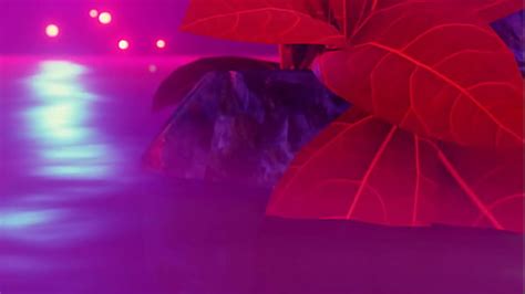 Xはむすたー Search Xvideos Com