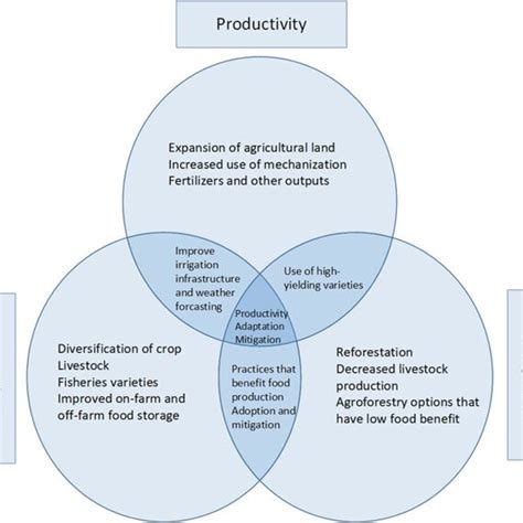 Framework Dimensions Of CSA Source Prasad Et Al Download Scientific Diagram