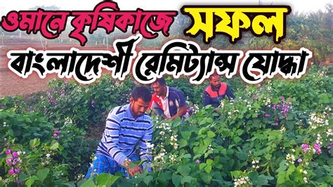 ওমানে সবজি চাষের পাশাপাশি গরু ছাগল ও মুরগির খামার ♥️ Bangladeshi Farmers In Oman Vegvillagefood