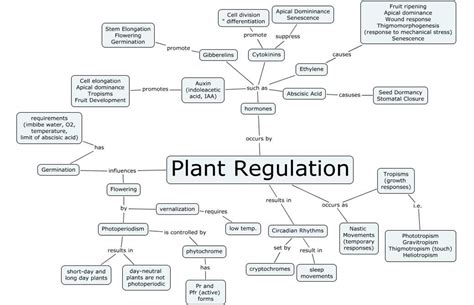 Mind Map — Lesson Science State Board Class 10 Mind Map — Lesson Science State Board Class 10
