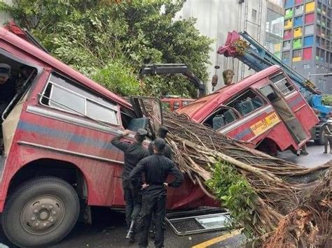 කොළඹ පිහිටි අවදානම් ගස් ඉවතට Newswave Lk