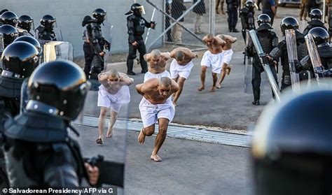 Worlds Most Brutal Prisons From Syrian Hell Hole To Russias K 6