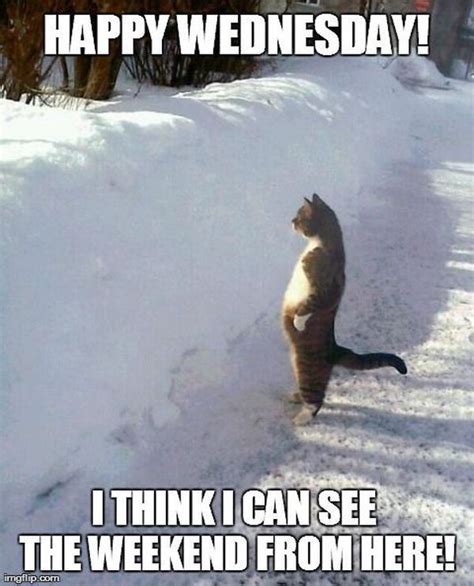 36 Funny Happy Wednesday Memes Funny Wednesday Memes Wednesday Work