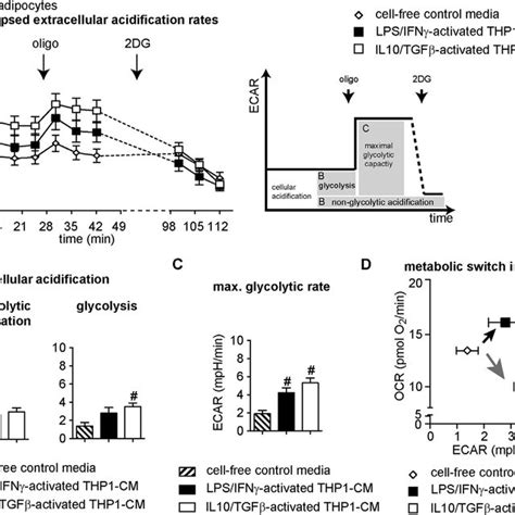 Effects Of Lps Ifng And Il10 Tgfb Activated Thp1 Cm On The Expression