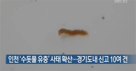 인천 수돗물 유충 사태 확산경기도내 신고 10여 건