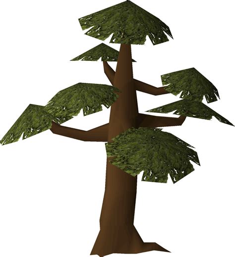 File Yew Historical V2 Png Osrs Wiki