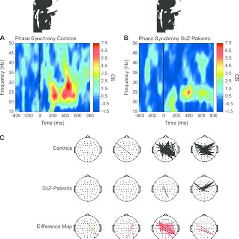 Neural Oscillations In Cortical Networks Download Table