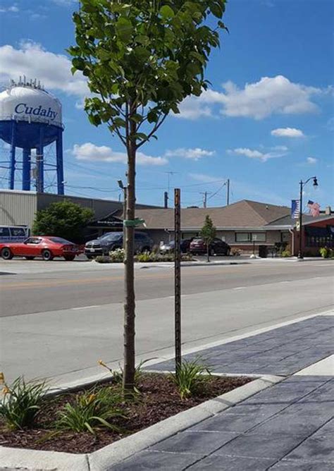 Cudahy Chikato Bros Ice