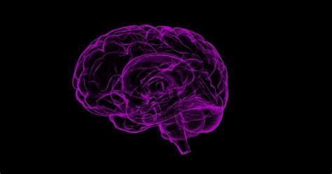 What Is Semantic Memory Types And Definition Of Semantic Memory