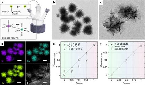 A A Schematic Illustration Of The One Pot Colloidal Synthesis Of Download Scientific Diagram