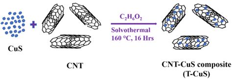Development Of Hierarchical Copper Sulfidecarbon Nanotube Cuscnt Composites And Utilization