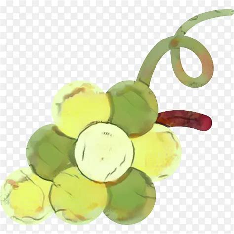 Png Png
