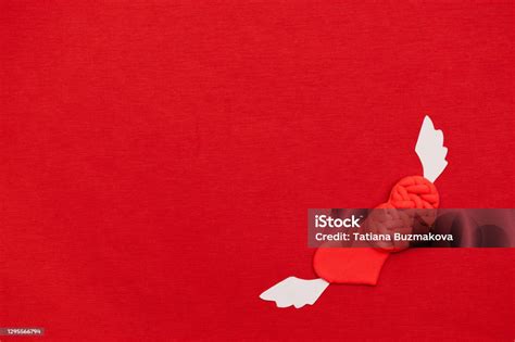 빨간색 배경에 흰색 천사 날개가있는 두 개의 빨간 질감의 하트 발렌타인 데이 배경 평평한 평지 복사 공간 상단 보기 0명에 대한