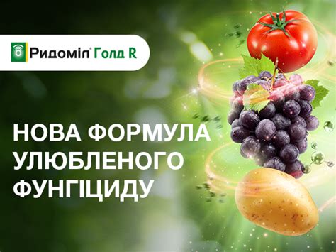 Ридоміл Голд R 162 Wg ВГ Сингента Україна