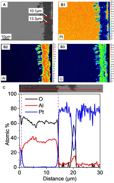 Cross Sectional Morphologies And Distribution Of Elements From Epma Download Scientific Diagram