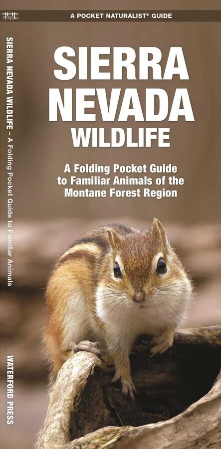 Sierra Nevada Wildlife Book Summary And Video Official Publisher Page Simon And Schuster